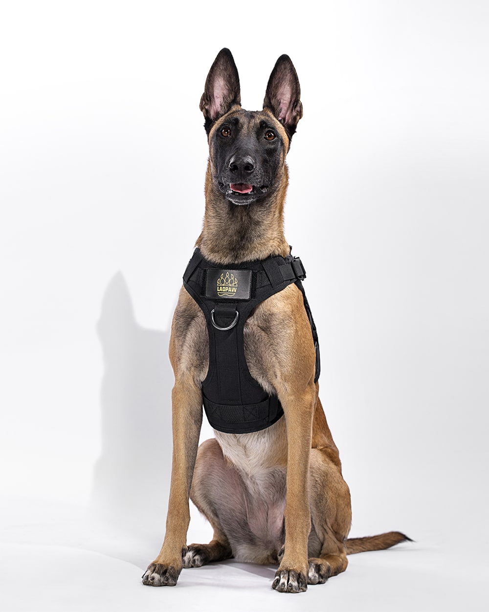 2TACTIC TACTICAL DOG HARNESS
