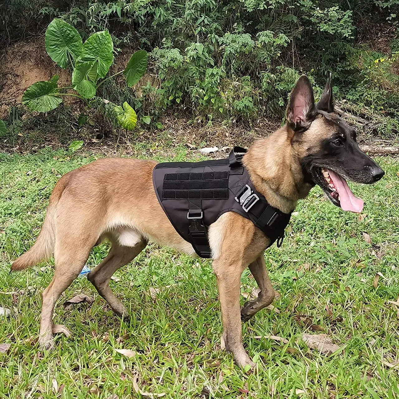 Tactical Dog Harness freeshipping - 2Tactic